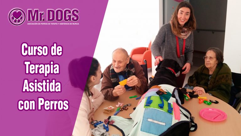 Curso de Intervenciones Asistidas por Perros – Terapia y Educación asistida por perros
